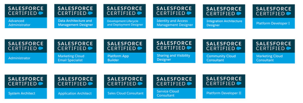 About Access Global Group | Salesforce Consulting Services