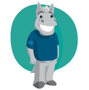 Who Are The Salesforce Characters? | Access Global Group LLC