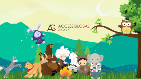 Who Are The Salesforce Characters? | Access Global Group LLC