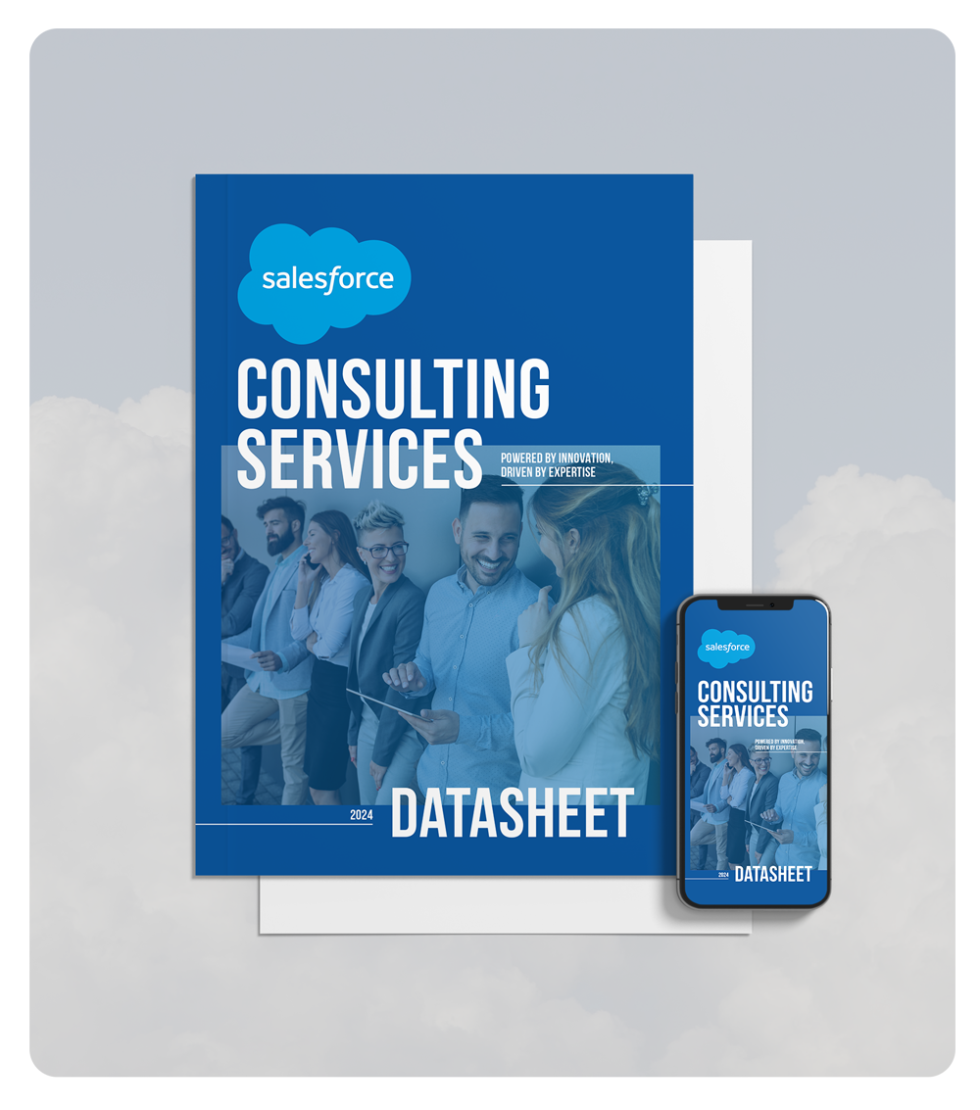 Salesforce Consulting Services Datasheet | Access Global Group Inc