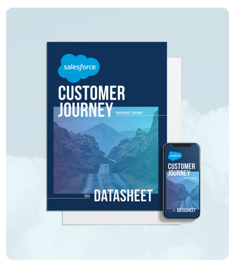 Salesforce Customer Journey Datasheet | Access Global Group LLC